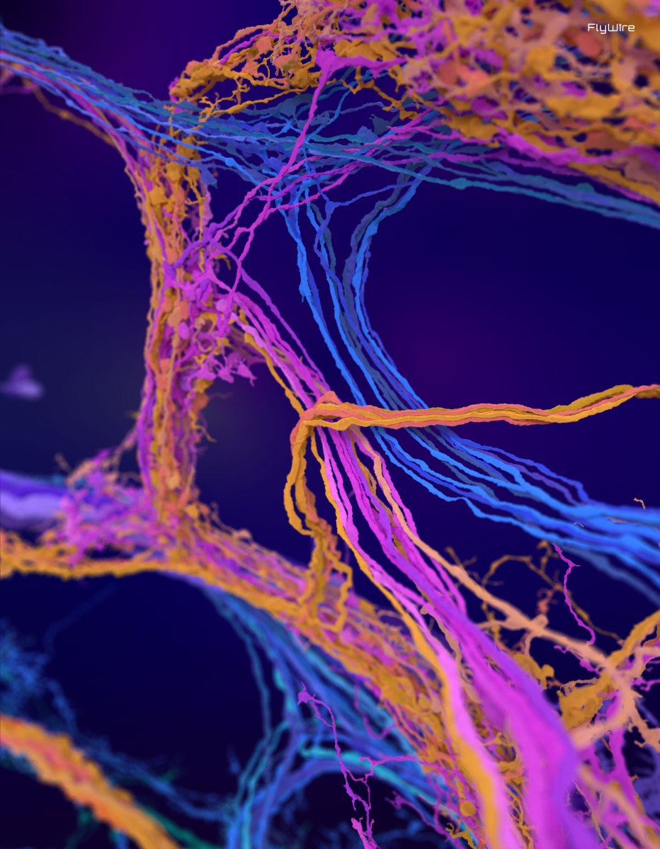 Research – Baker Lab