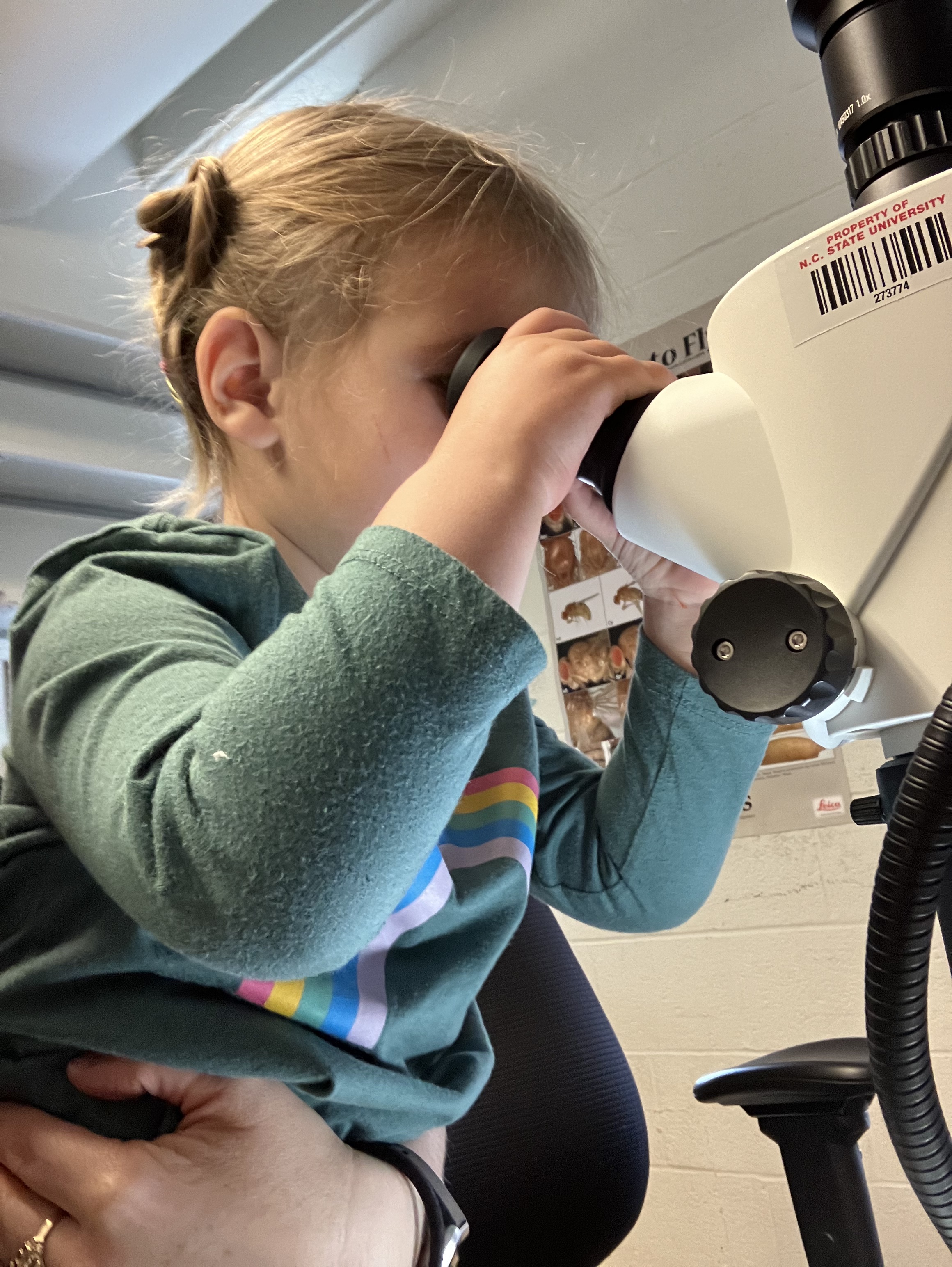 Photos – Baker Lab